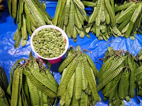Guajes Leucaena Leucocephala Edible Seeds In The Market At San