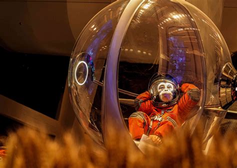 Parallel Spacetime Idpa Japan Design Award