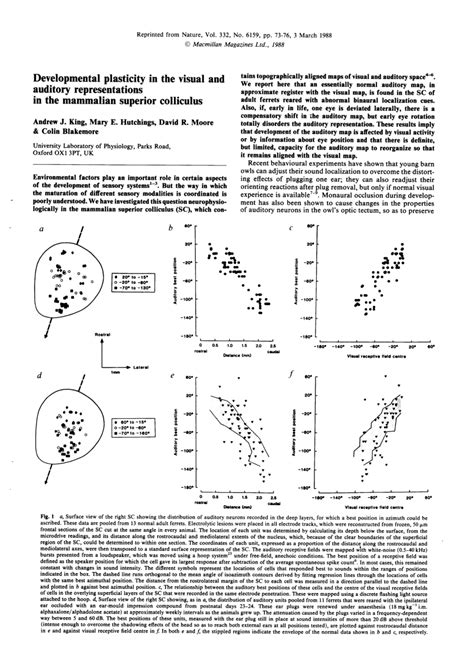 Pdf Developmental Plasticity In The Visual And Auditory Representations In The Mammalian