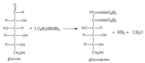 Glucose Reacts With Excess Of With Phenylhydrazine And Forms A Glucosazoneb Glucose