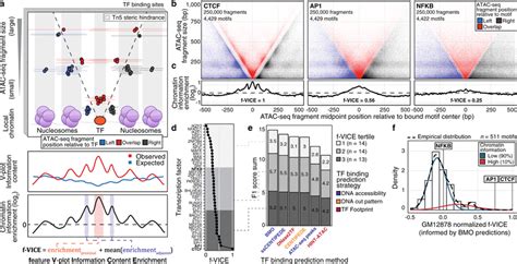 Information Content Of Tf Chromatin Interactions A Upper Tf Binding