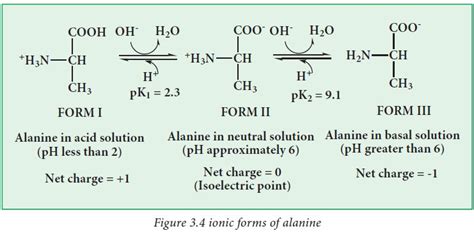 Amino Acids Biochemistry