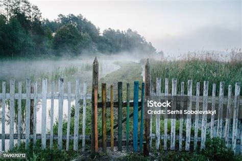 강을 통과 하는 길을 따라 오래 된 비철 울타리 늪 호수와 자연을 배경으로 안개 잔디 나무 낚시 배경입니다 안개 낀 아침 자연 야생 지역 닫 다 0명에 대한 스톡 사진 및