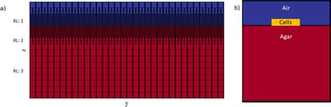 A Mesh Is Applied Over The Model Domain With A Range Of Refinement Download Scientific Diagram