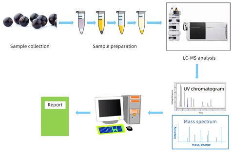 Delphinidin 3 O Rutinoside 5 O Glucoside Analysis Service MtoZ Biolabs