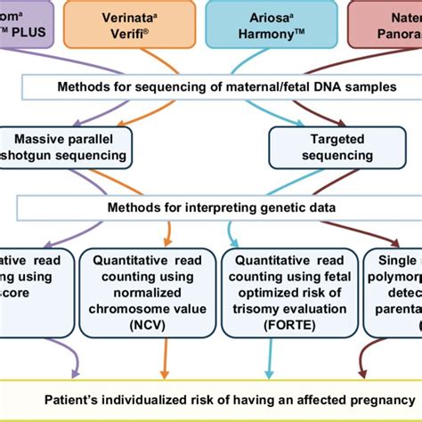 Currently Used Nipt Methodology Notes Depicts A Flowchart Of The Download Scientific Diagram
