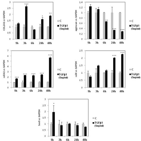 Transforming Growth Factor Beta Differential Effects On Matrix Genes Download Scientific