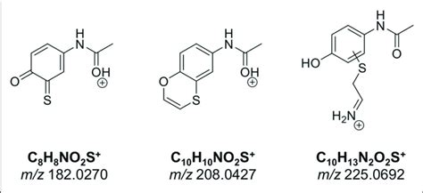Proposed Structures Of Diagnostic Fragment Ions Download