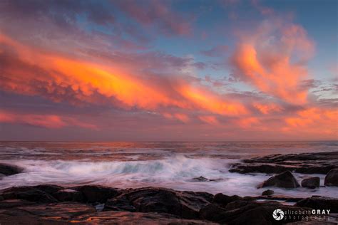 Understanding Depth Of Field A Beginners Guide