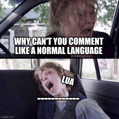 Lua What Rprogrammerhumor