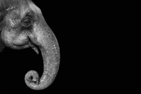 The Postgres Replication Dilemma Truth About Hotstandbyfeedback By