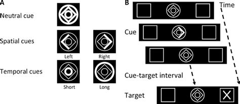 A Cue Types Used In The Spatial And Temporal Attention Network Task To Download Scientific
