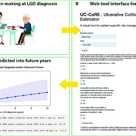 Ulcerative Colitis Cancer Risk Estimator Uc Care Online Risk Report