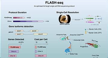 Robust Global MicroRNA Expression Profiling Using Next Generation Sequencing Technologies RNA