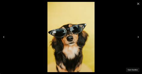 Yet Another React Lightbox Examples Forked Codesandbox Yet Another React Lightbox Examples Forked Codesandbox