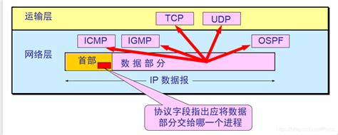 Ping的原理的解析和 Icmp协议 网络工具icmp Ping Row Csdn博客