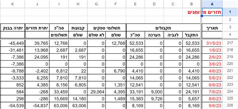 ניהול תזרים מזומנים באקסל או בתוכנה יעודית גלעד אביעד יועץ עסקי