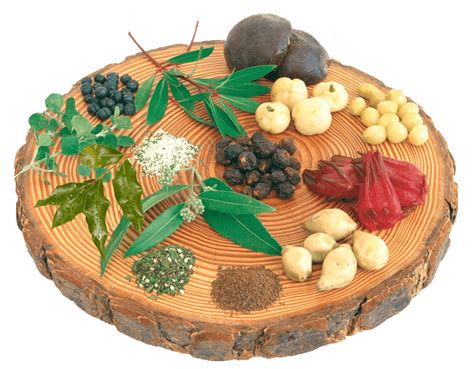 Australian Native Ingredients A Glossary Of The Different Ingredient