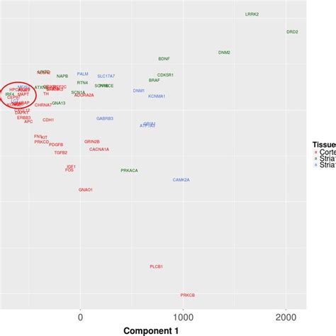 Multidimensional Scaling Plot Mds Clustering The Prioritized Genes
