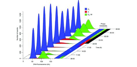 Dna Histograms Of Cell Cycle Progression Through 24 H Example Cell