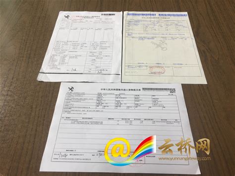 云南启用新版报关单助推通关便利化云桥网