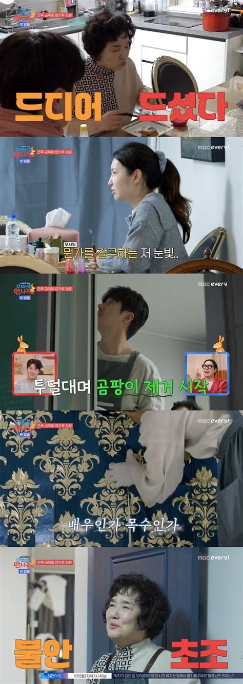 [종합] 지조 첫 출연료 소식에 “父母 못 믿어… 계약서 써야”→신정윤 쉬는 날 벽 도배까지 ‘다 컸는데 안 나가요