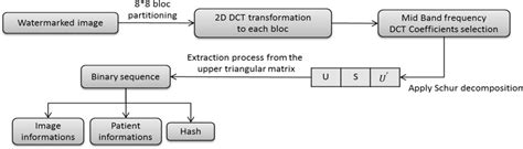 extraction process for the dct schur algorithm download scientific