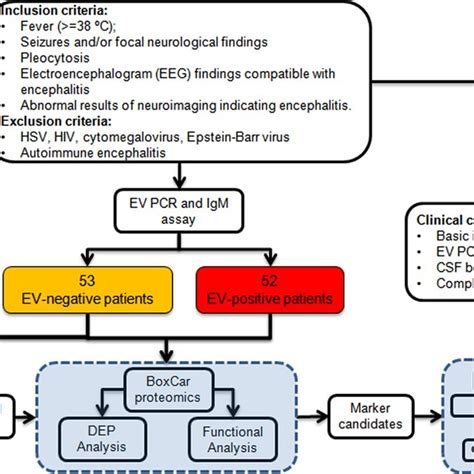 Overall Experimental Design For Csf Proteomic Analysis Of Ev Related Download Scientific