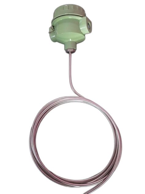Rtd Pt 100 Flip Head Flexible Temperature Sensor 2 Wire At Rs 899 Piece In Navi Mumbai