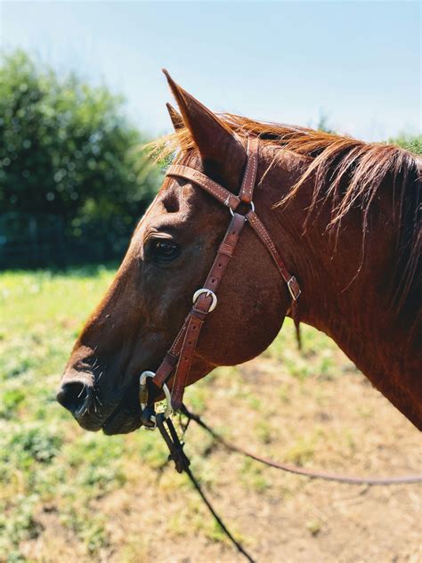 흰 종이에 연필 · 무료 스톡 사진