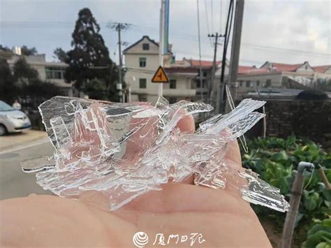 厦门今起回暖！霜冻、大风预警解除！新一波降温在气温冷空气影响