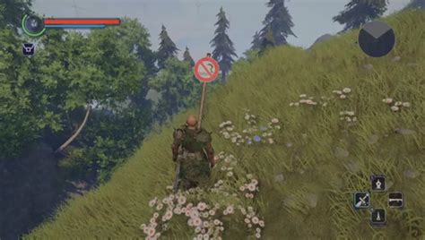 Strange Area Relex