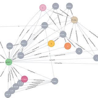 An Example Of The Nodes And Edges In The Graph Database After Import Is Download Scientific