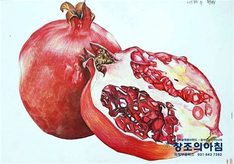 창조의아침미술학원 의정부캠퍼스 중등반 학생이 그린 석류 개체묘사 색연필그림 소묘 드로잉 기초디자인 사실표현 중딩 색연필화 기디 개체표현 정밀묘사 석류