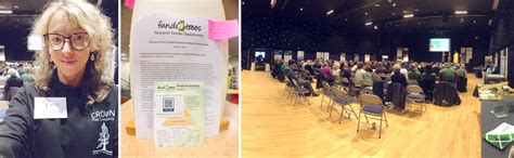 Results Published Tree Officer S Tree Establishment Opinion Survey Crown Tree Consultants