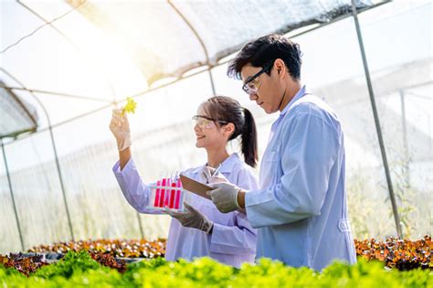 자연 성장 농업 과학 연구원 생태 화학 실험실 유기 생화학 손의 연구원은 시험관을 들고 유기 농업 실험실을 연구합니다 과학자에 대한 스톡 사진 및 기타 이미지 Istock