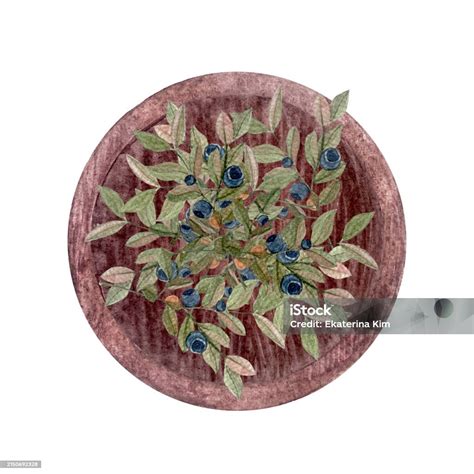 블루베리 가지 나무판 수채화 그림 통하고 있는 백색 절연 위에 포장 상표 음식 및 음료 디자인을 위한 편평한 작풍에 있는 사나운 식용 숲 식물을 가진 손으로 그린 고품질