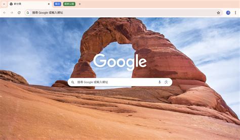 Google Chrome
