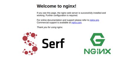Nginx Load Balancer Cluster With Automatic Configuration And Node