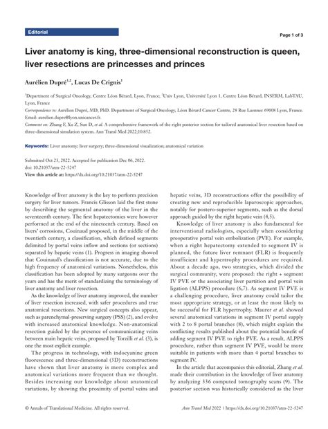 Pdf Liver Anatomy Is King Three Dimensional Reconstruction Is Queen