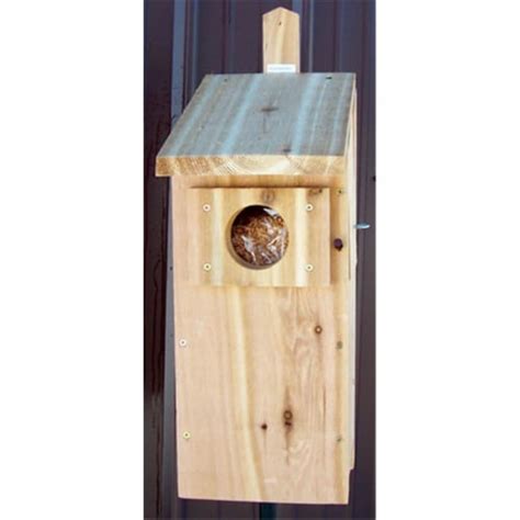 Stovall Sp6h Wood Screech Owl Box 1 Kroger