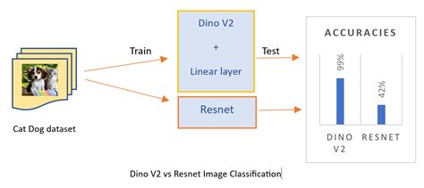 Github Purnasaidinov2 Dino V2 For Classification Pca