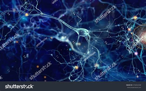 44 860 Neuron Network Images Stock Photos Vectors Shutterstock