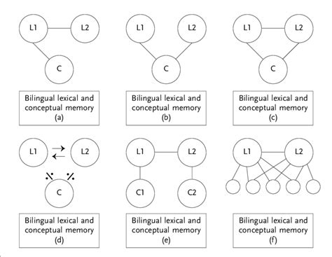 Representations A F Of Bilingual Lexical And Conceptual Memory De Download Scientific
