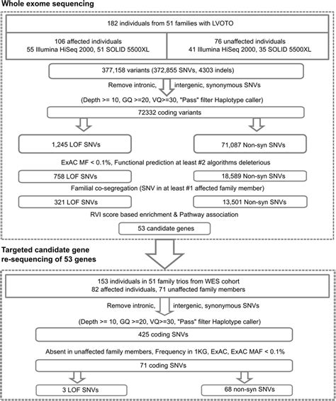 Variant Filtering Criteria And Candidate Gene Prioritization Variants Download Scientific