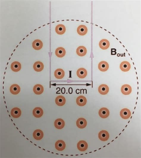 Solved The Force Exerted On A Rectangular Loop Placed In A Chegg Com