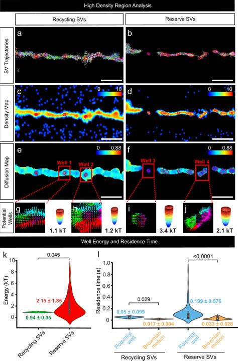 Density And Diffusion Maps Describing The Differences Between Reserve Download Scientific
