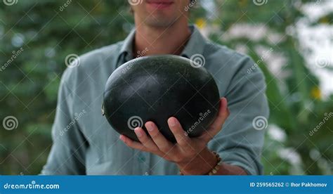 Focus On A Fresh Ripe Organic Watermelon In The Hands Of A Handsome Guy