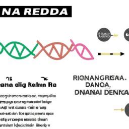 Molecular Biology DNA And RNA Genetic Code Course Complete Biology Course For Exams Cursa