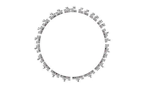 Initialize The Circular Layout With An Ideogram — Circos